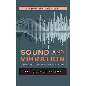 Find the best price on Sound And Vibration: Tuning Into The Echoes Of ...