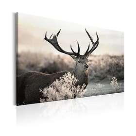 Arkiio Tavla Powerful Horns 120x80 A3-N7131-DKX, Från 1274 kr