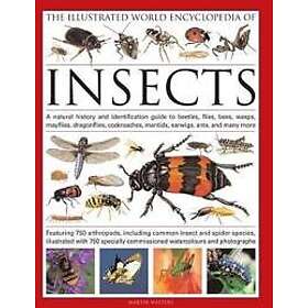 Martin Walters: The Illustrated World Encyclopaedia of Insects, Från 209 kr